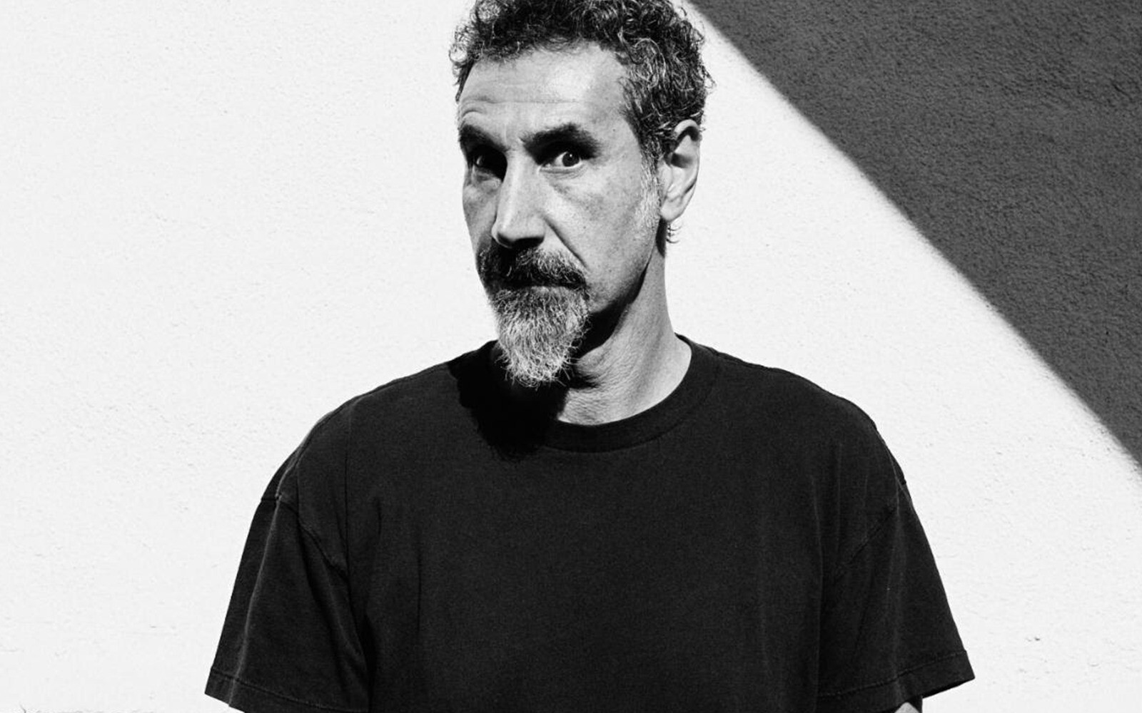 Serj Tankian (System Of A Down) записа кавър на "I'm Counting On You ...